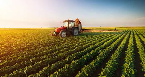 Agri food Immigration Pilot Program Canada | Canoz Visas