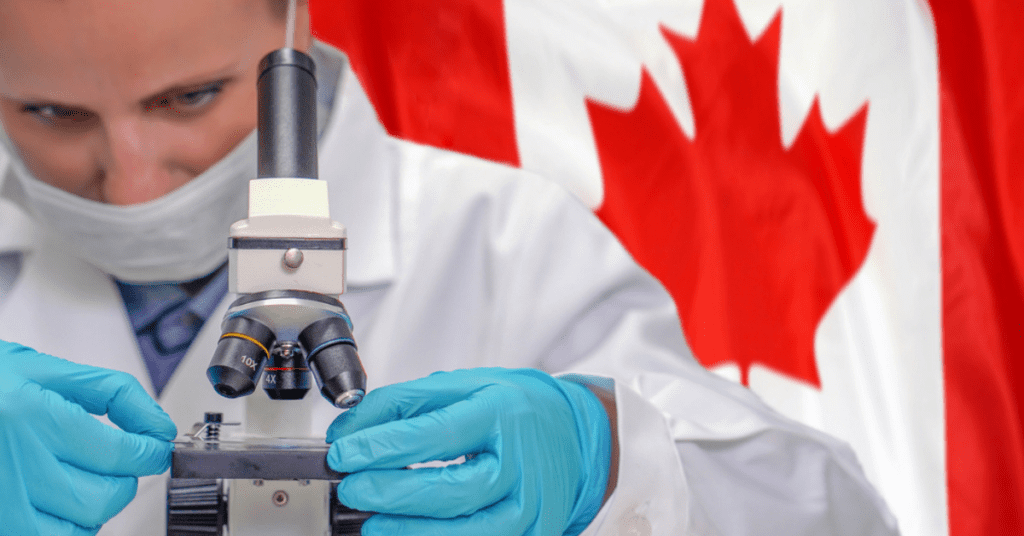 The Ultimate Guide to Canadian Experience Class Draws - CANOZ Visa ...