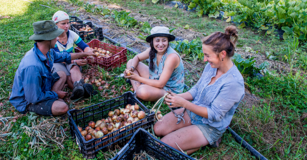 IRCC Announces New Immigration Pilots for Rural and Francophone ...